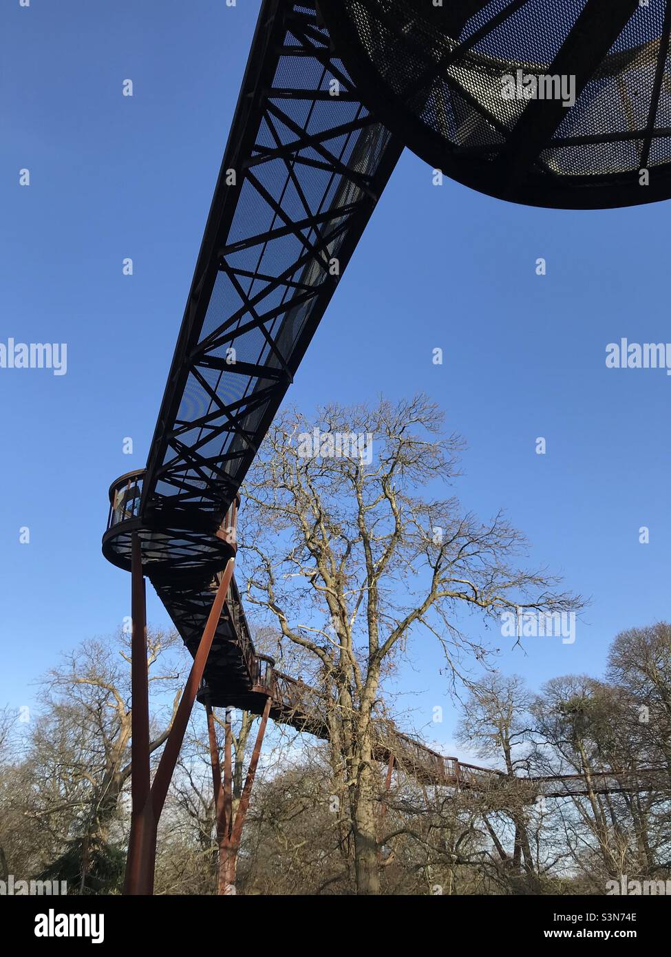 Tree top walk at Kew Gardens, UK Stock Photo - Alamy