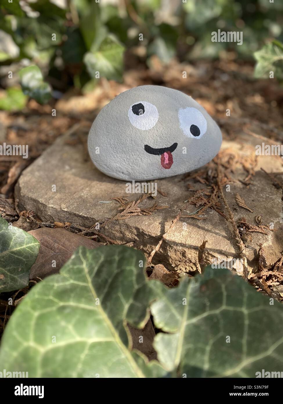 A rock with a silly face painted on it sits in a garden in dappled ...
