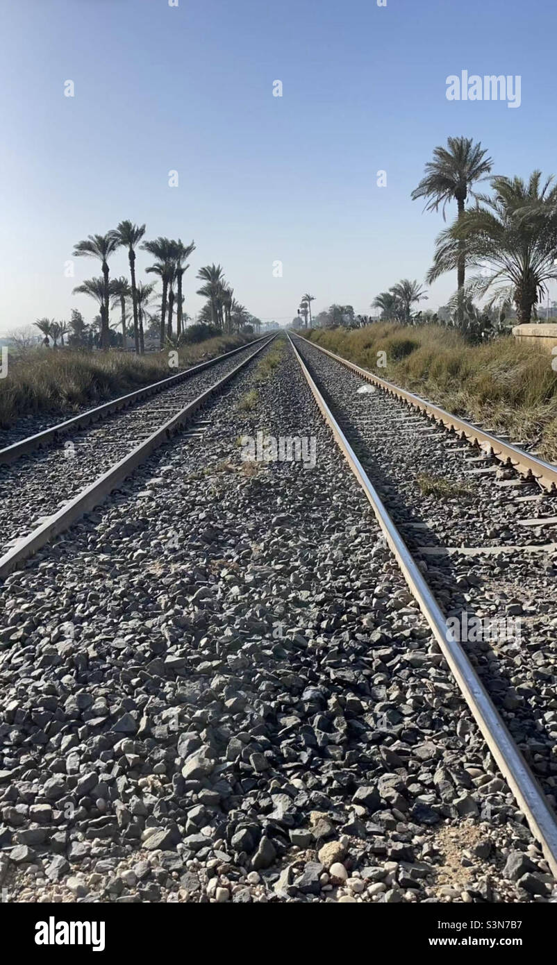 Train in egypt hi-res stock photography and images - Alamy