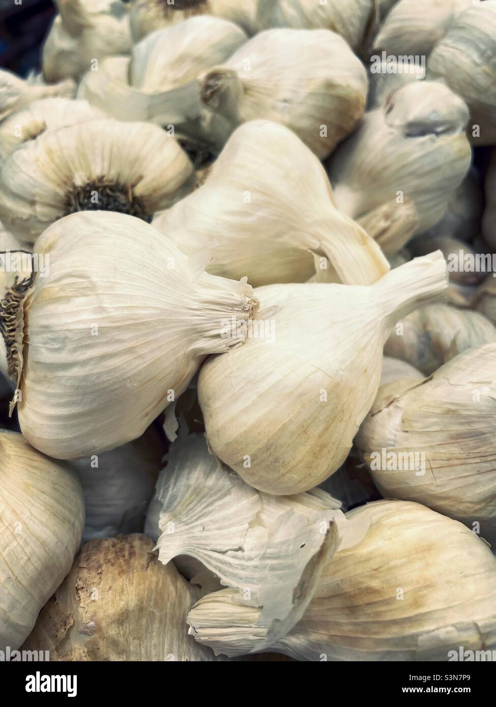 Bin of fresh garlic bulbs in the produce aisle at the grocery store ...