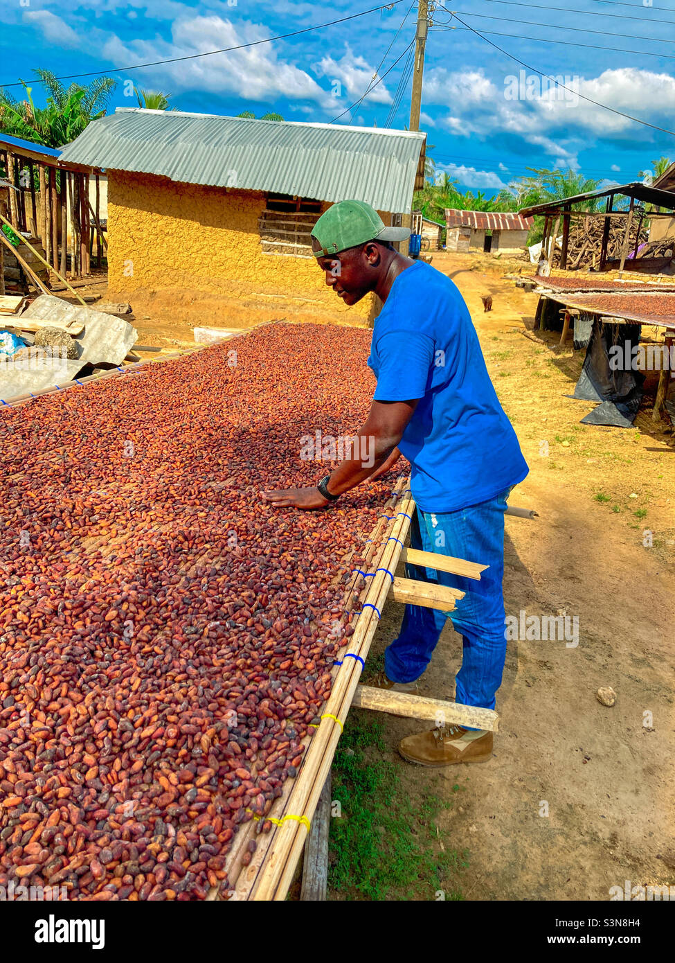 Cocoa seed hi-res stock photography and images - Alamy