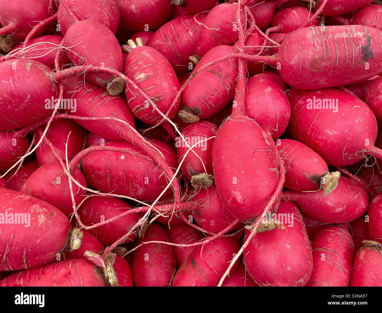 Daikon radishes hi-res stock photography and images - Alamy