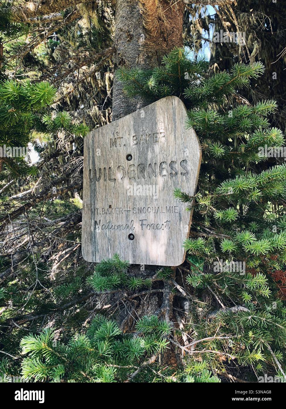 Mt. Baker Wilderness sign on a tree Stock Photo - Alamy