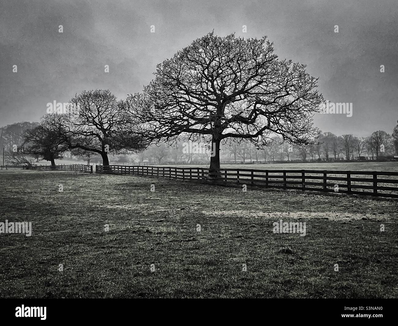 In the bleak midwinter hi-res stock photography and images - Alamy