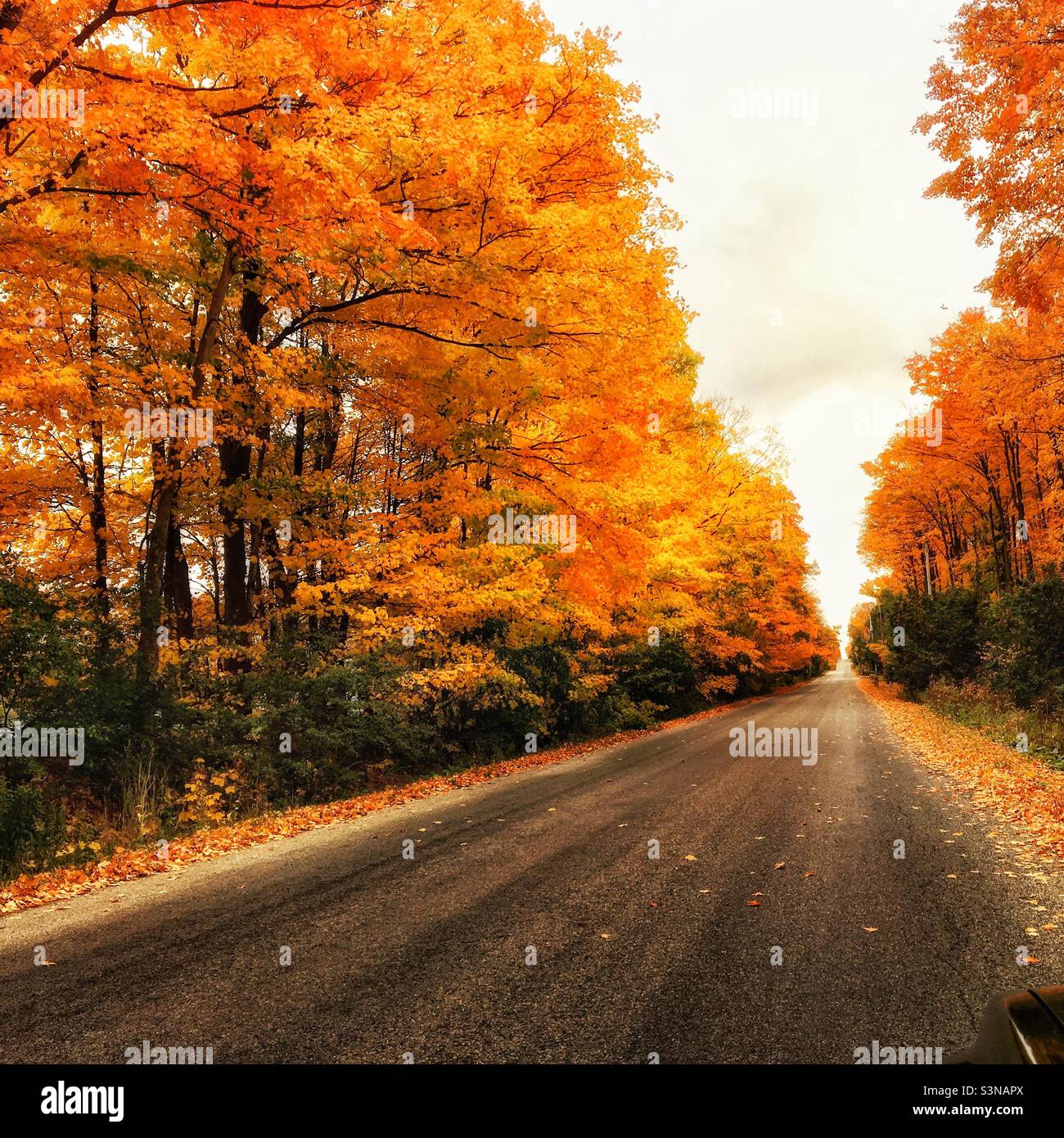Road back road hi-res stock photography and images - Alamy