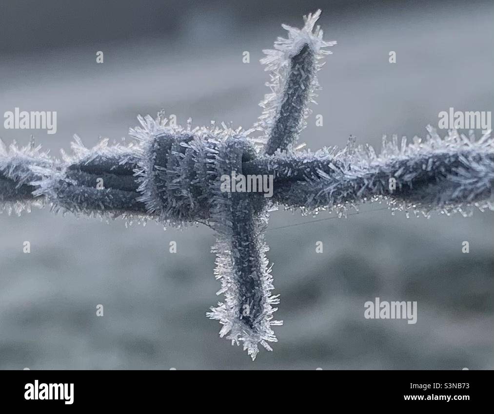 Barbed wire ice hi-res stock photography and images - Alamy