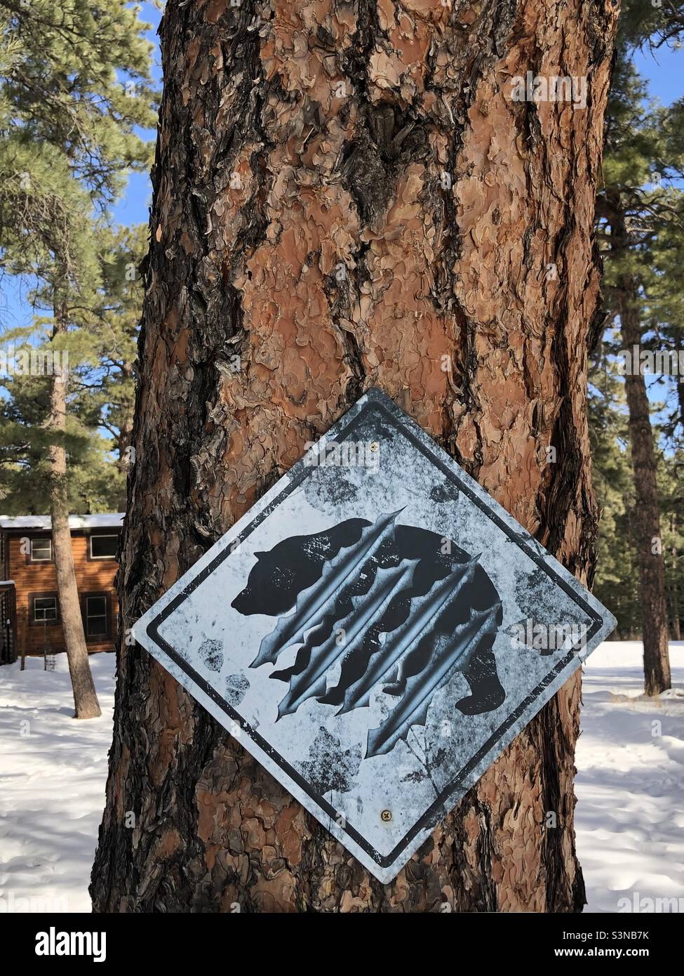 Bear country sign hi-res stock photography and images - Alamy