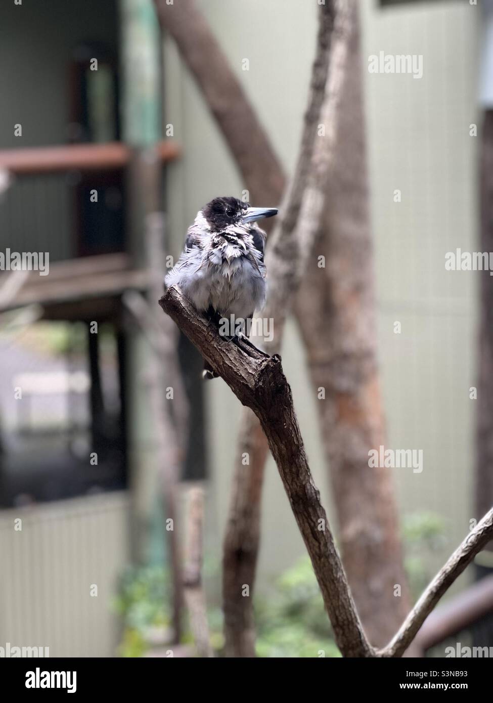 Unbothered hi-res stock photography and images - Alamy