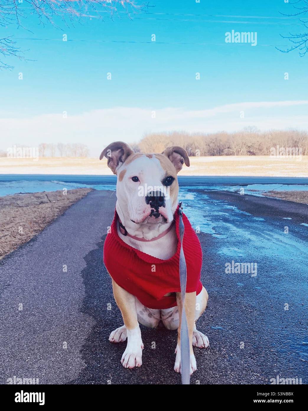 Wearing a red sweater hi-res stock photography and images - Alamy
