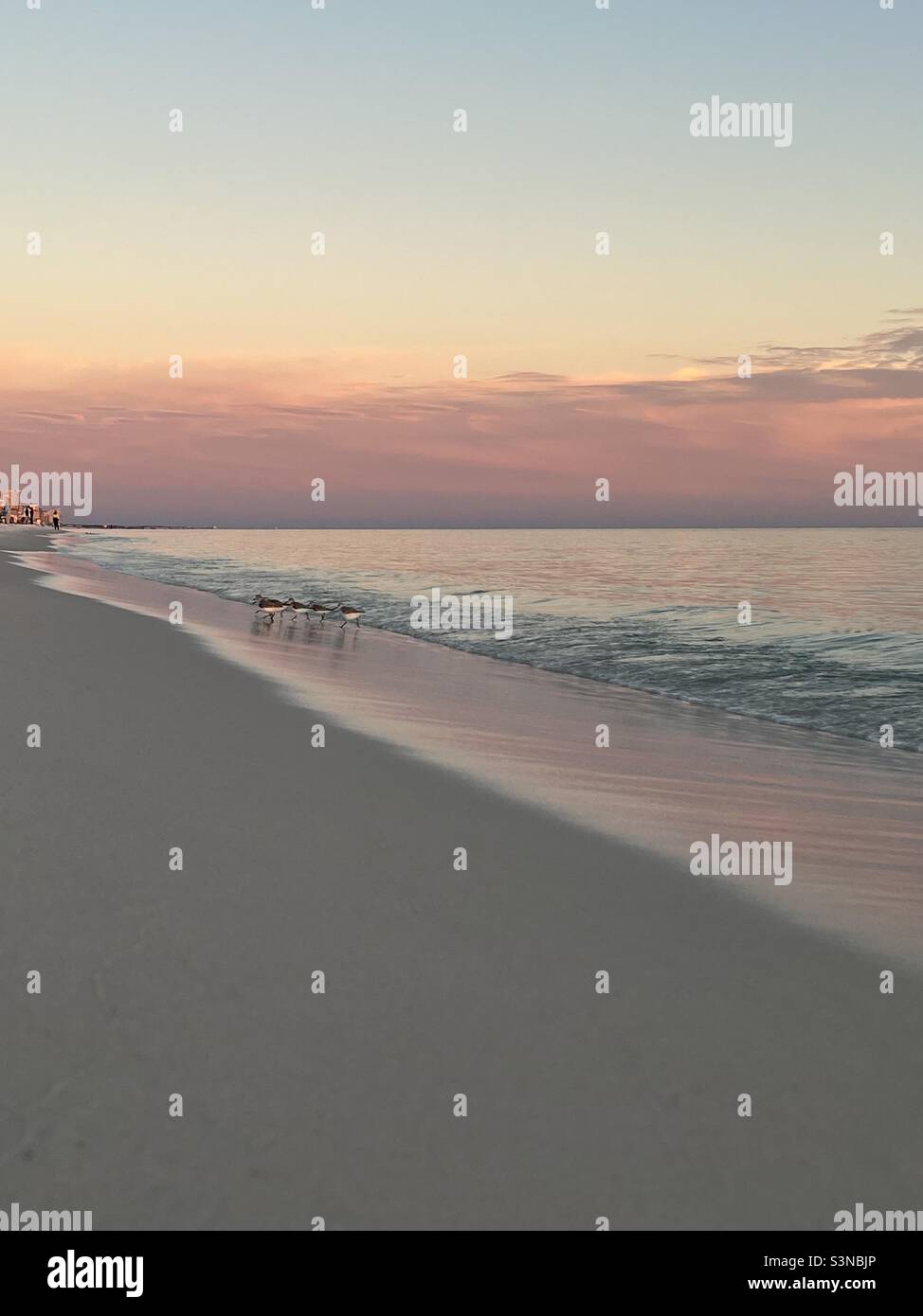 Florida pink beach sunset Stock Photo - Alamy