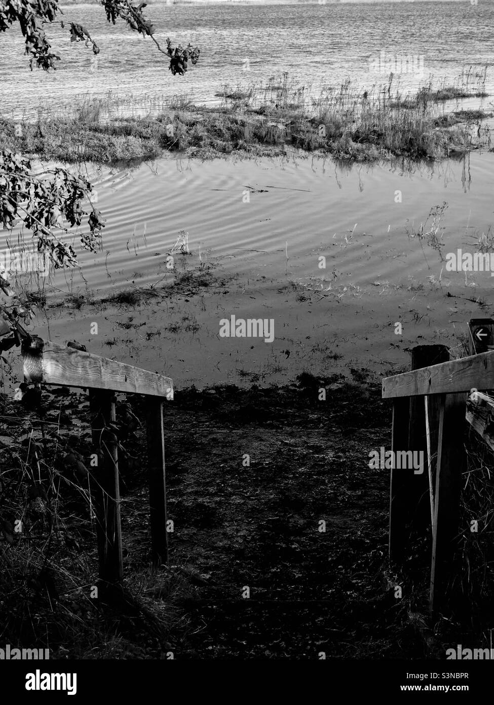 Eerie looking hi-res stock photography and images - Alamy