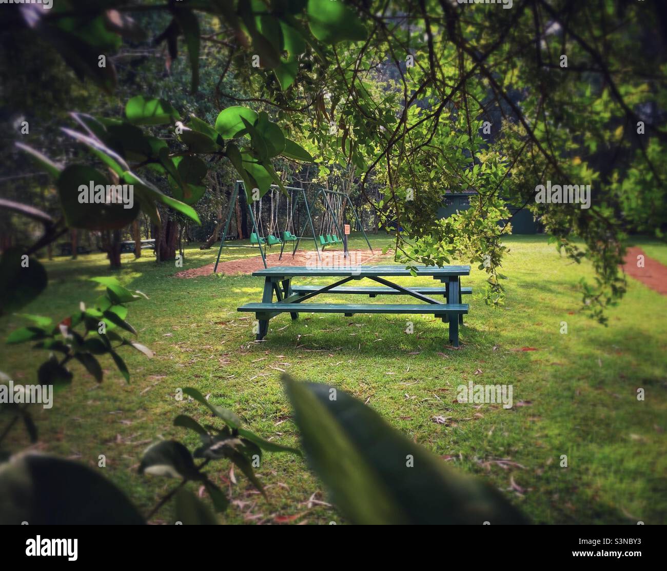 Karura forest hi-res stock photography and images - Alamy