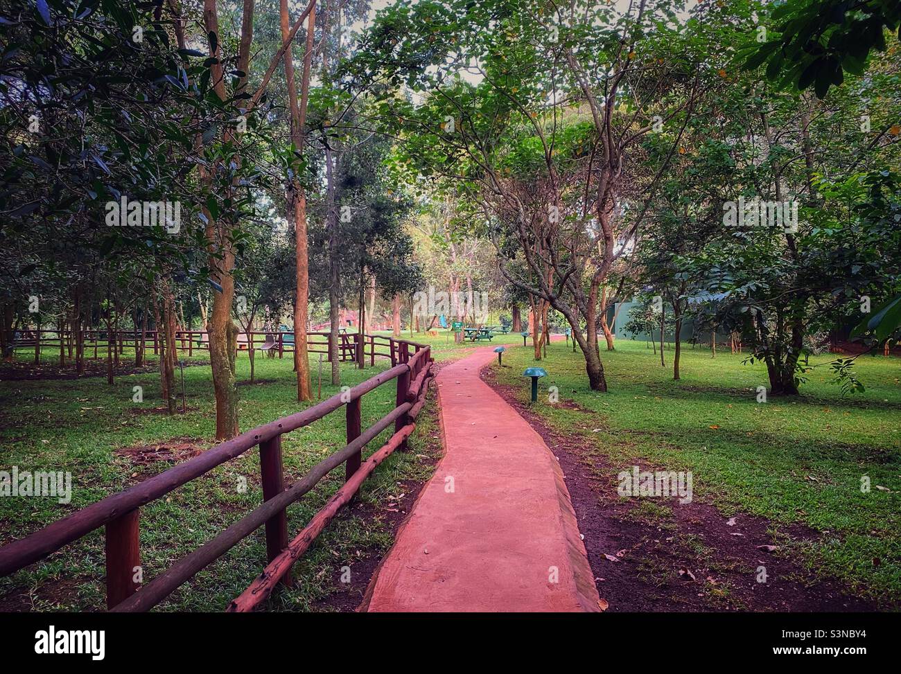 Karura forest hi-res stock photography and images - Alamy