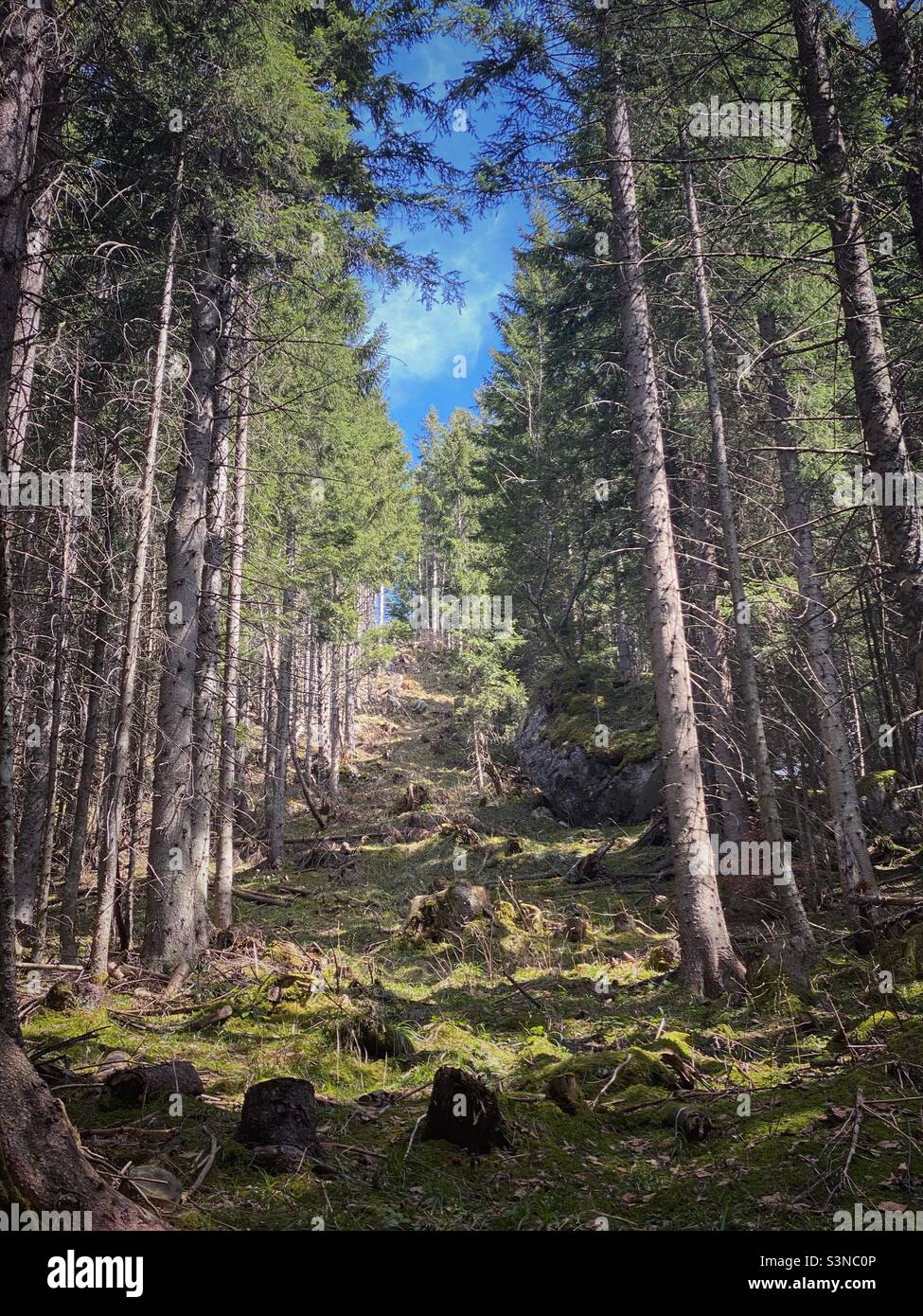 Spitzingsee hi-res stock photography and images - Alamy