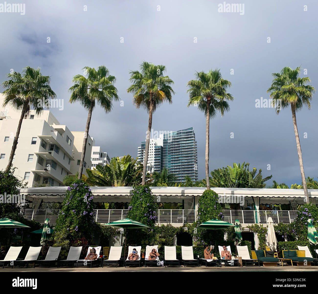 January, 2022, lounge chairs by the pool, Kimpton Surfcomber Hotel ...