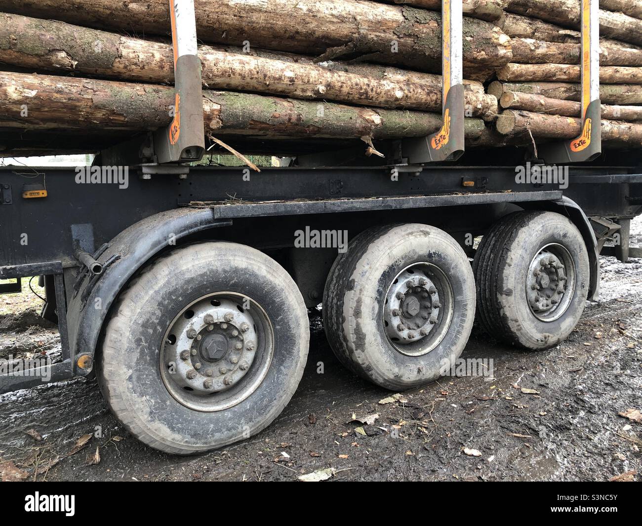 Loading logs timber logging truck trees hi-res stock photography and ...