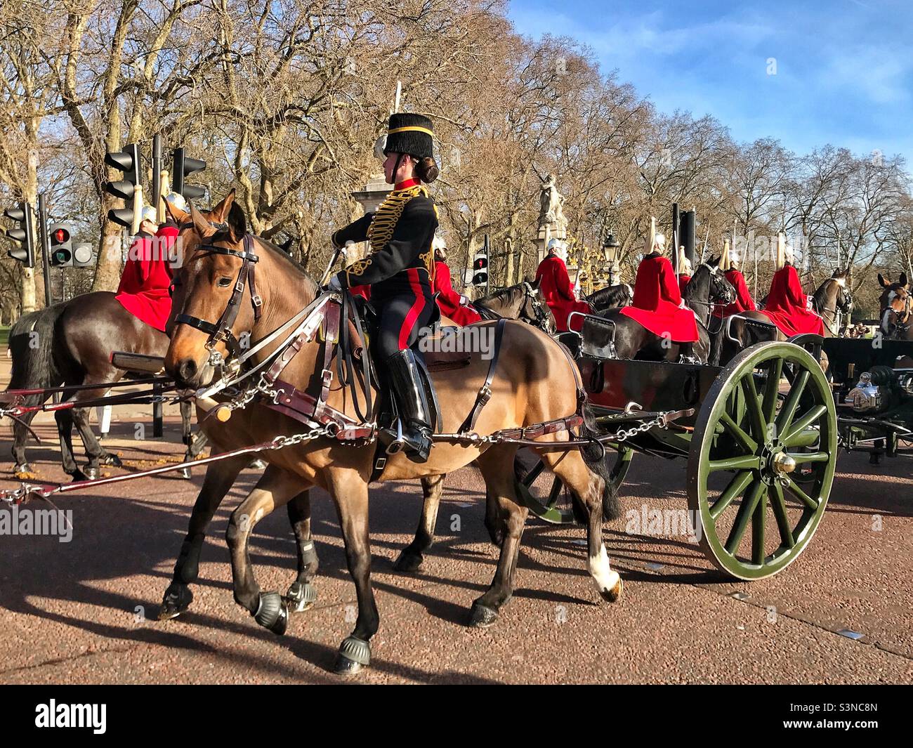 Regiments of the royal horse artillery hi-res stock photography and ...