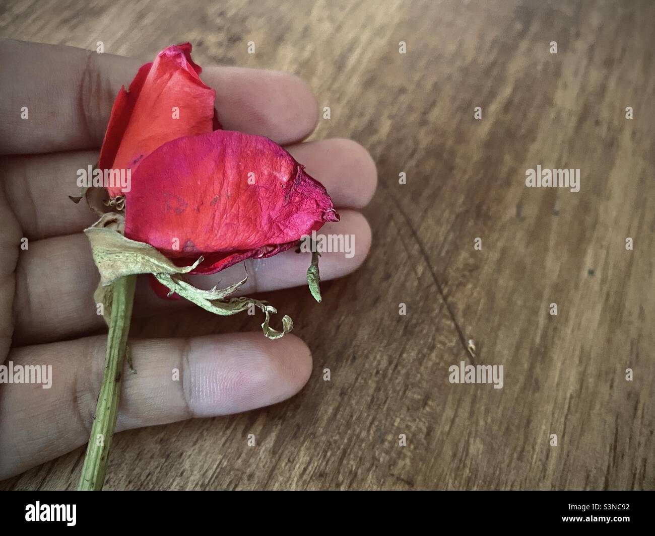 Red angle hi-res stock photography and images - Alamy