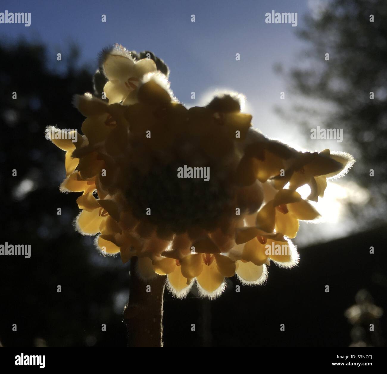 Sunlight and sky hi-res stock photography and images - Alamy