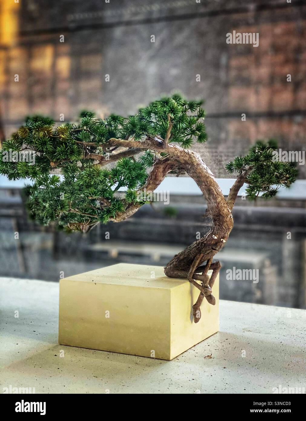 Lu Pingyuan Tree, displayed at the High Line New York City 2021 Stock ...
