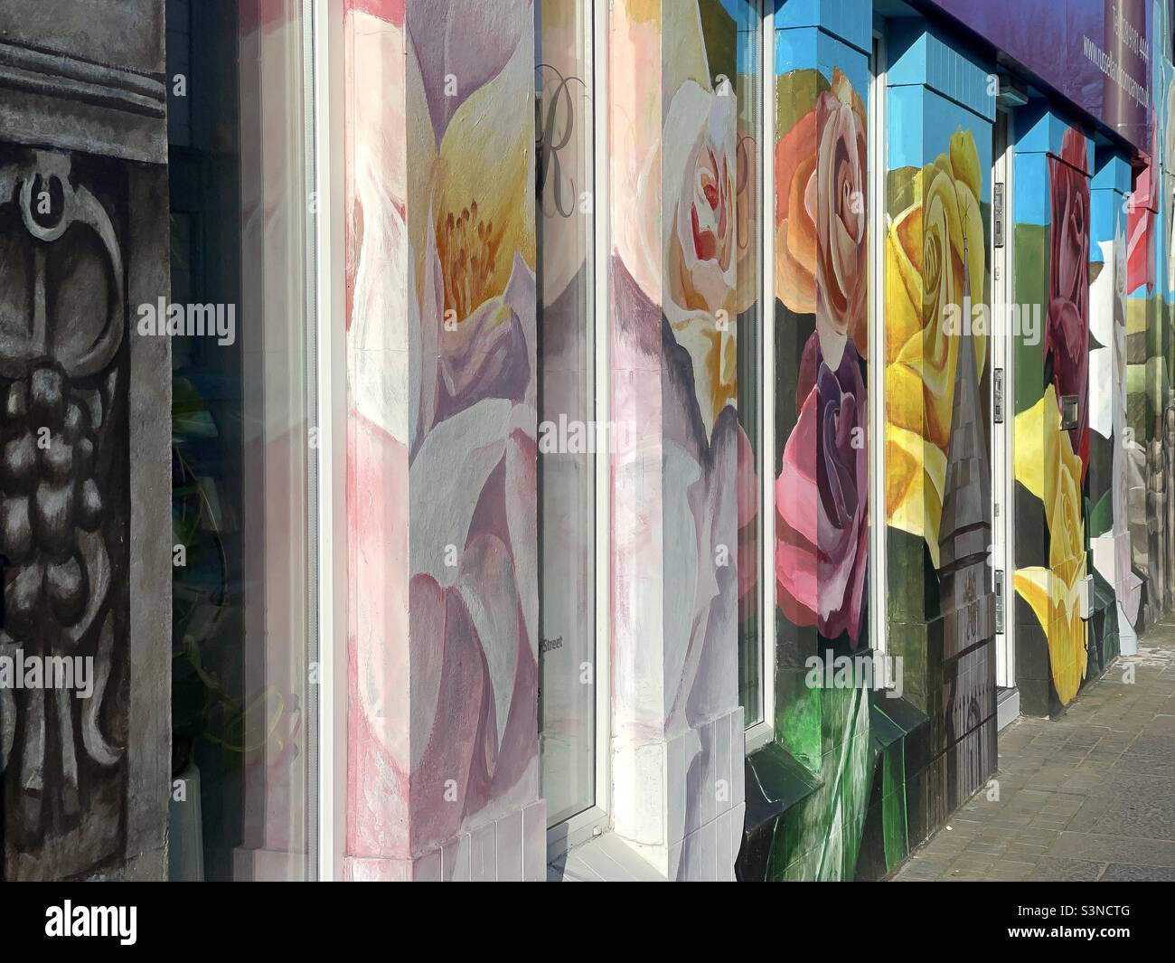 Newtownardsstreetart hi-res stock photography and images - Alamy