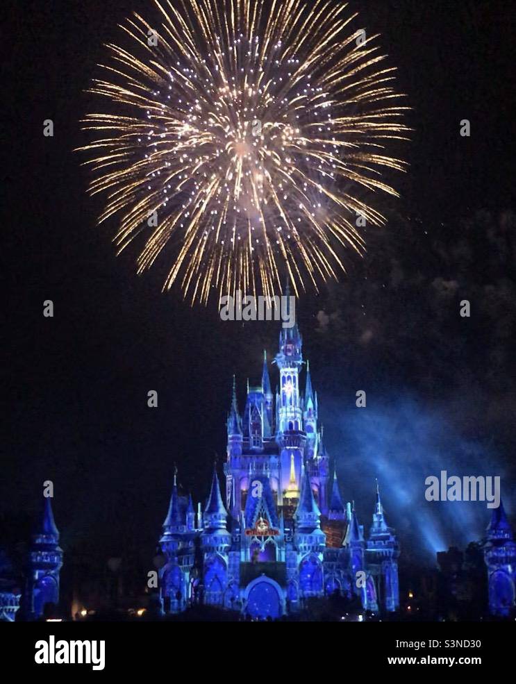 Disney Castle Fireworks