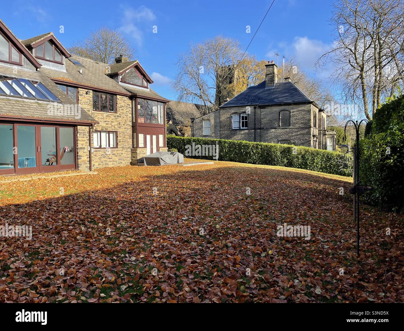 Autumn leaves fill lawn Stock Photo - Alamy