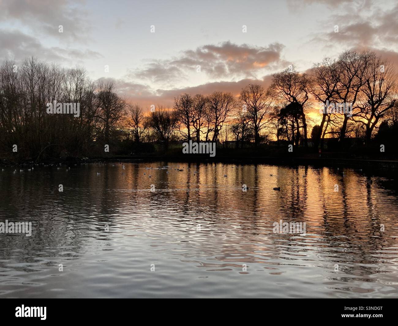 Pype hayes hi-res stock photography and images - Alamy