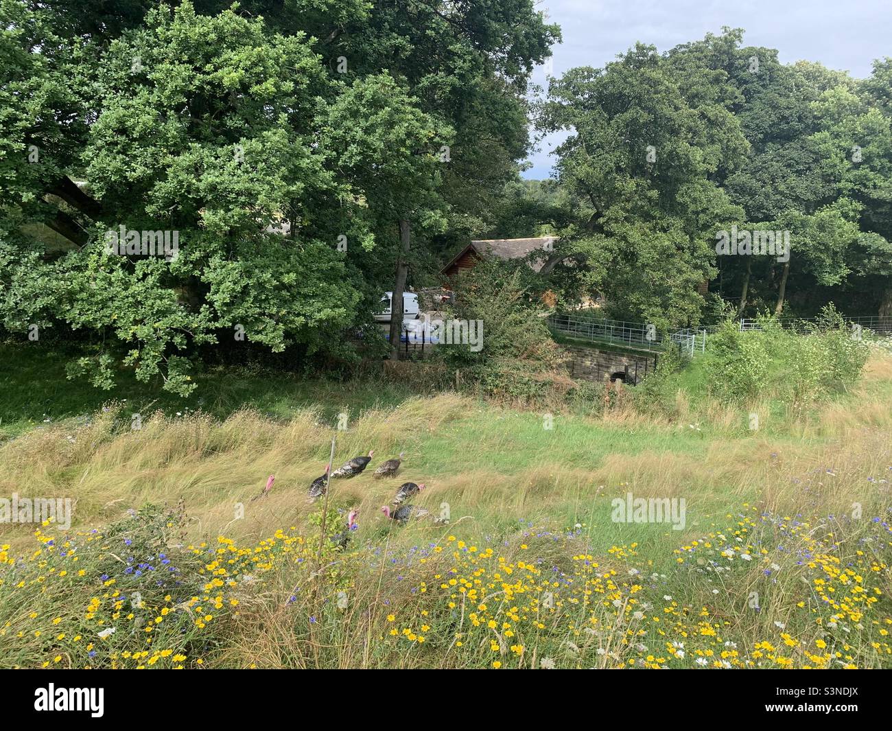 Holymoorside hi-res stock photography and images - Alamy
