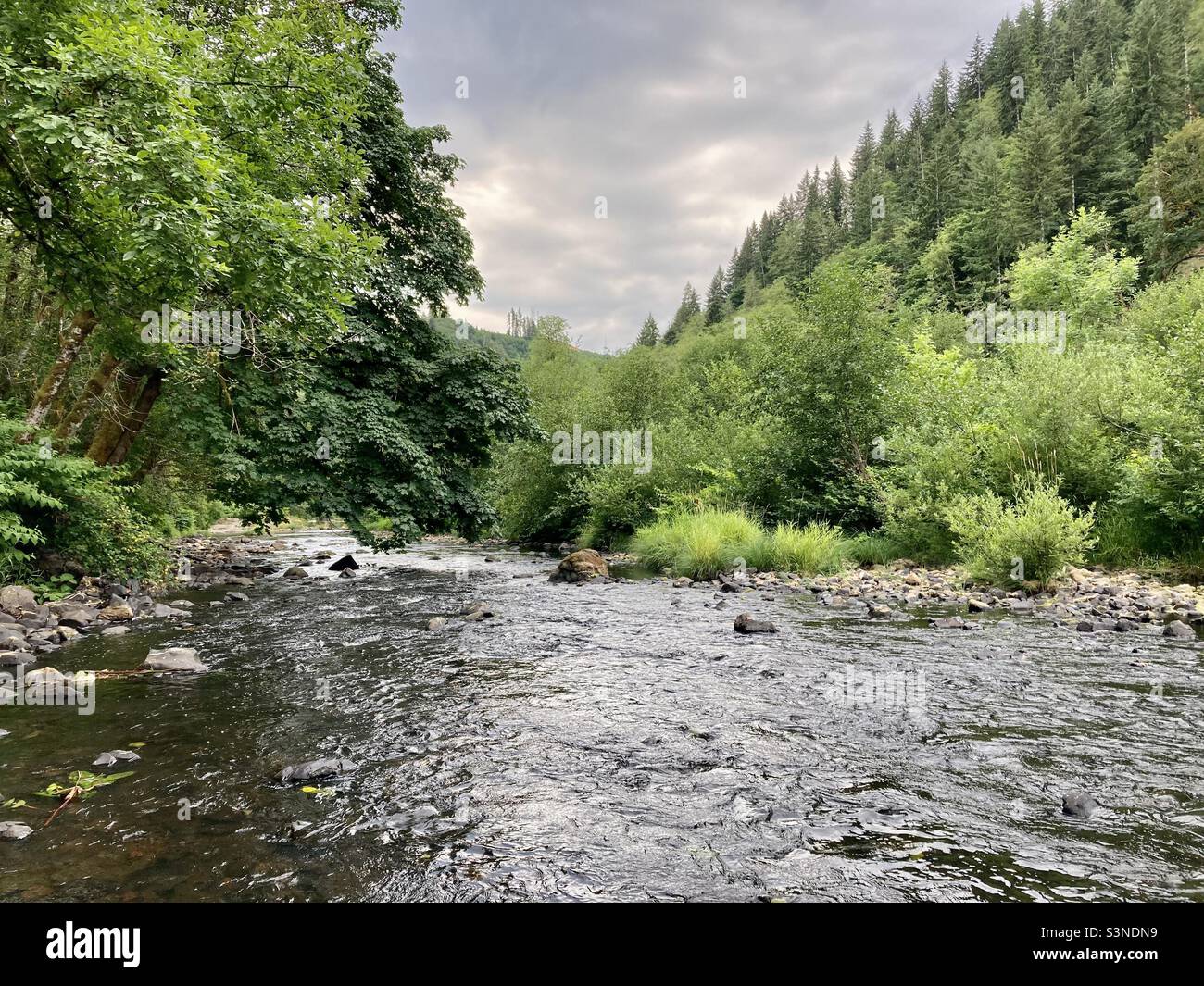 Nehalem river hi-res stock photography and images - Alamy