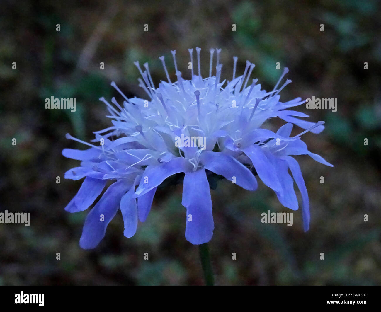 Concave shapes hi-res stock photography and images - Alamy