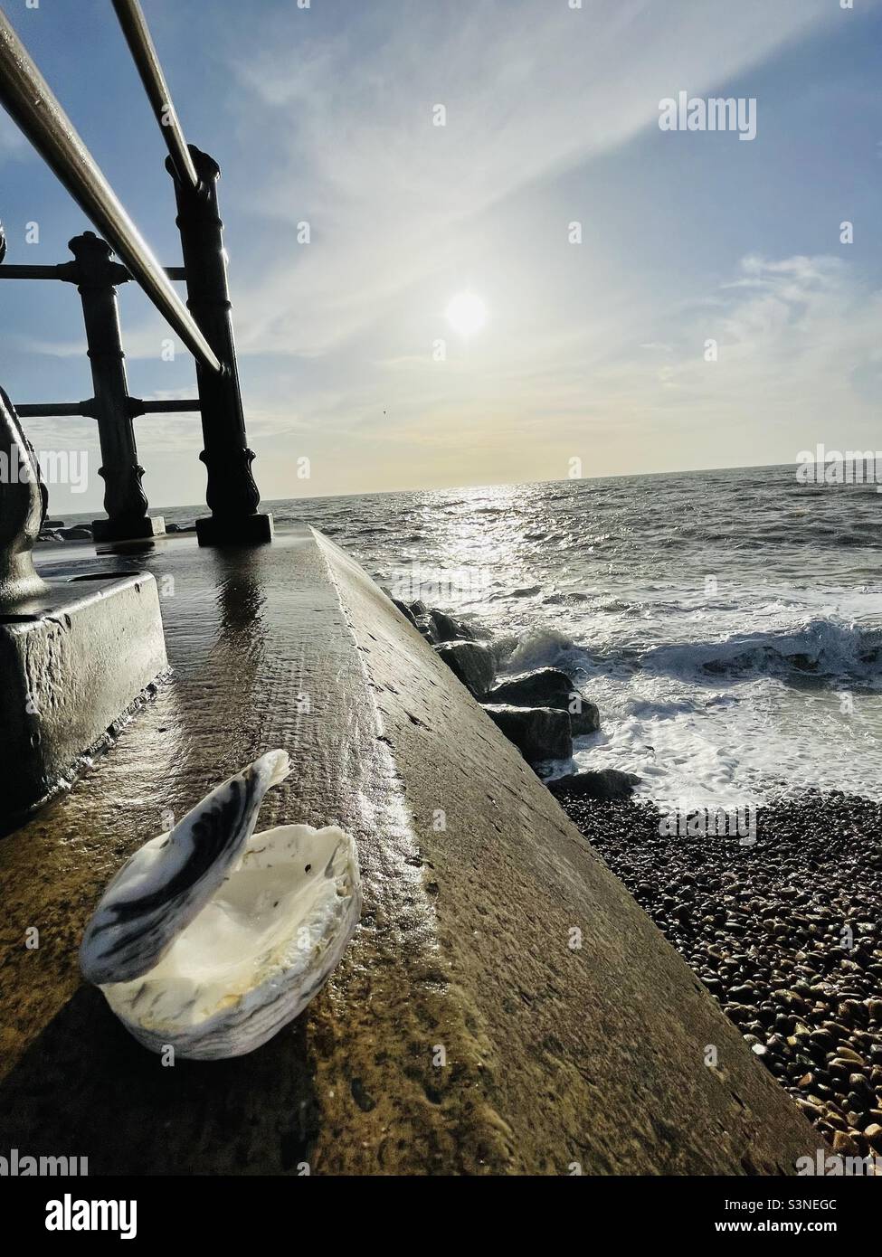 Oyster shell wall hi-res stock photography and images - Alamy
