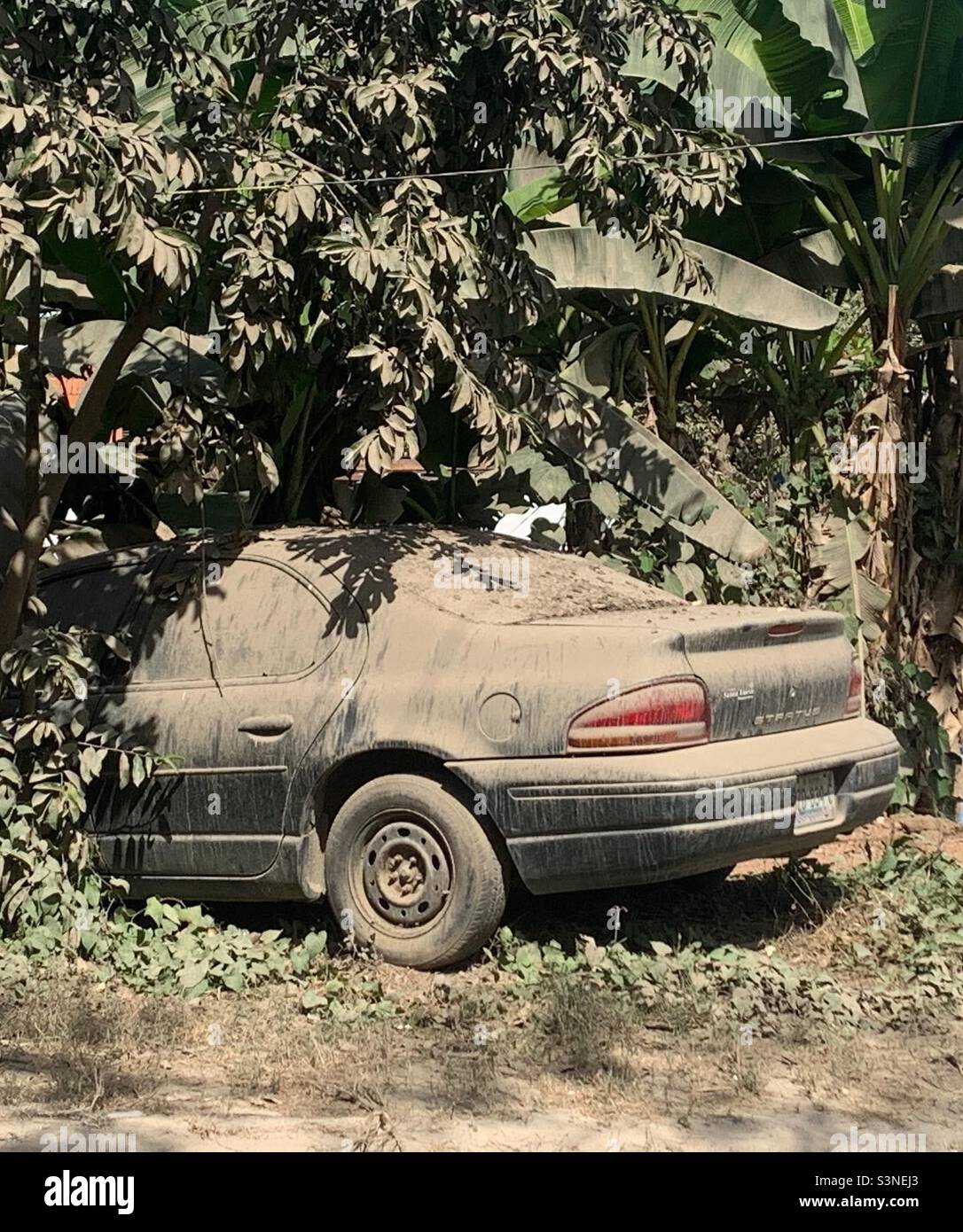 Dusty old car in a dusty bush Stock Photo - Alamy