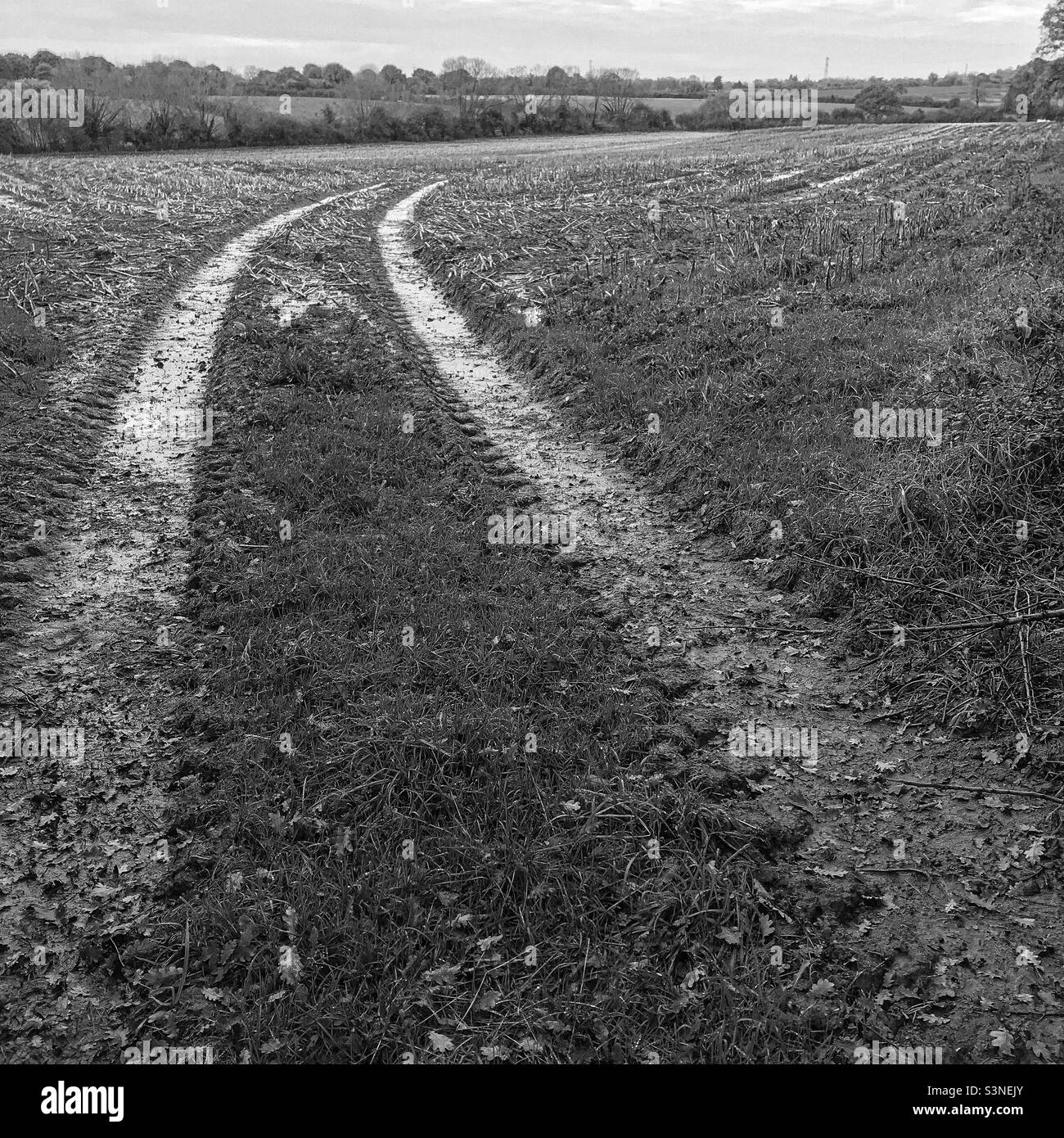 Tracks in field Black and White Stock Photos & Images - Alamy