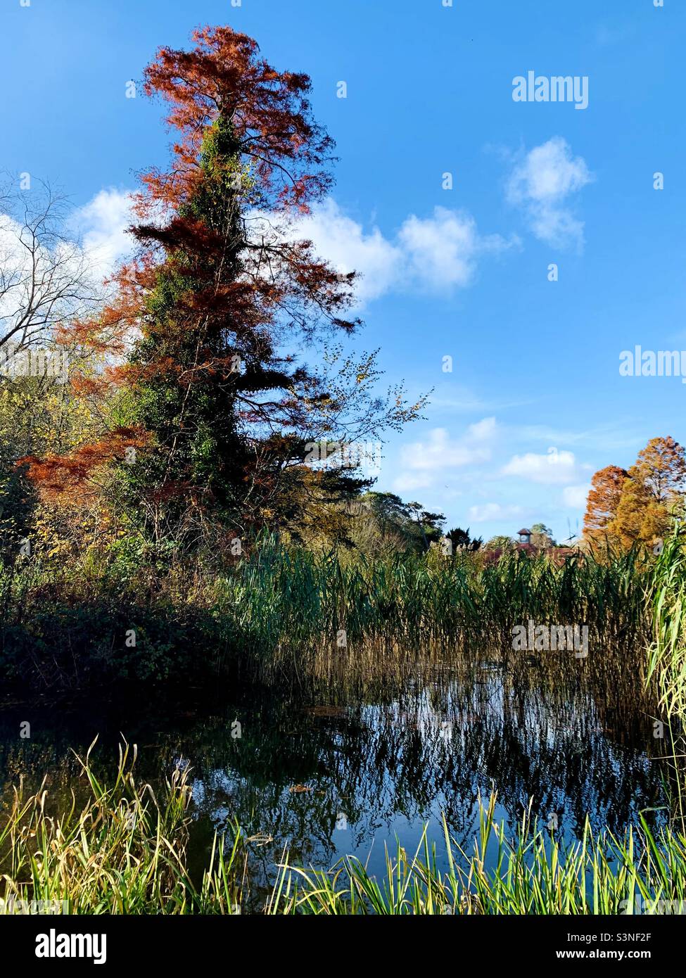 Autumn scene of trees surrounding a lake with rich foliage and bright ...
