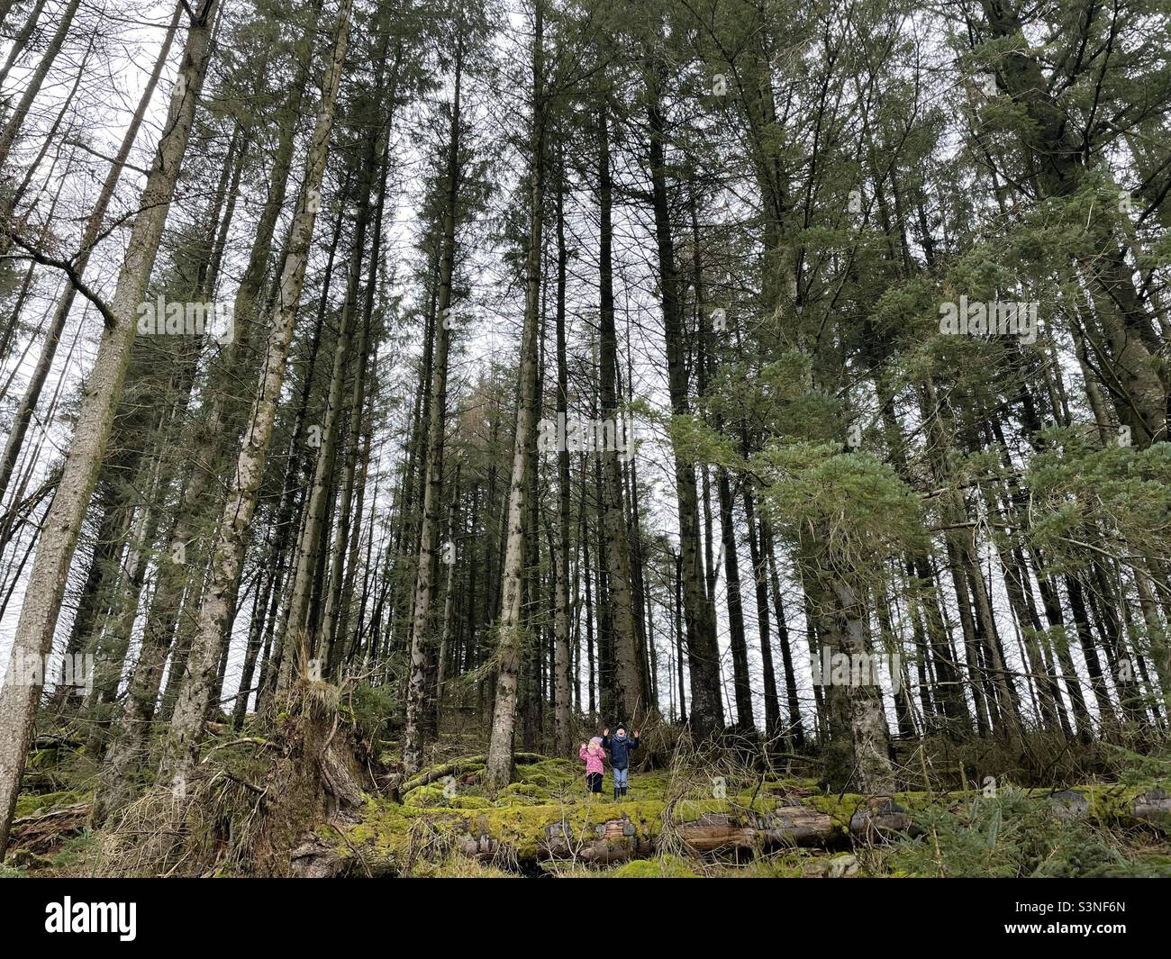 Children in nature hi-res stock photography and images - Alamy