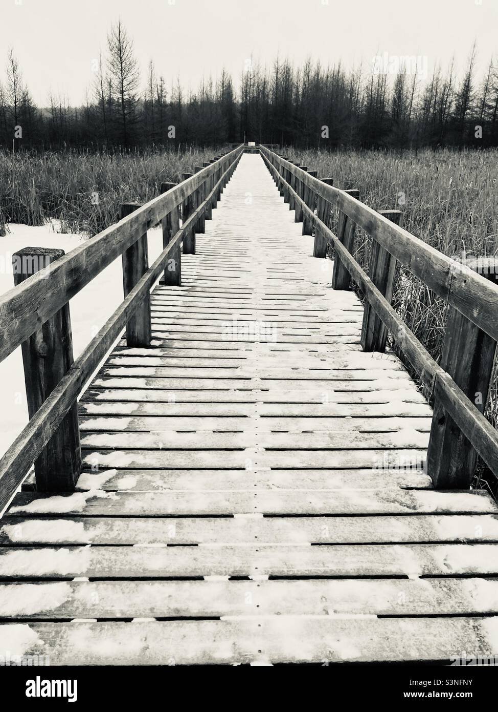 Mid winter hike in the Mer Blue Bog Stock Photo - Alamy