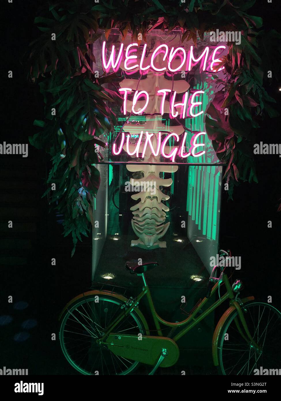 Welcome to the jungle sign hi-res stock photography and images - Alamy