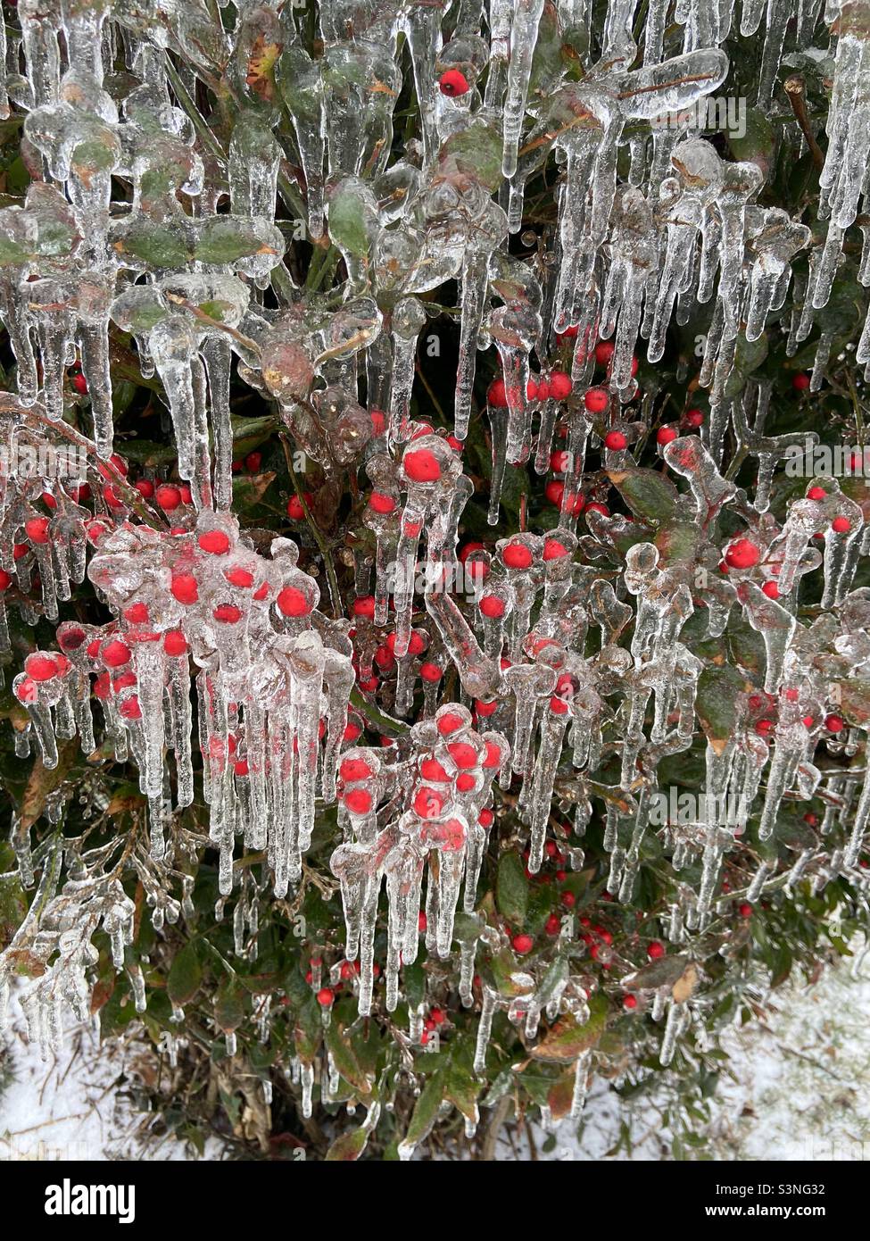 Ice berries hi-res stock photography and images - Alamy