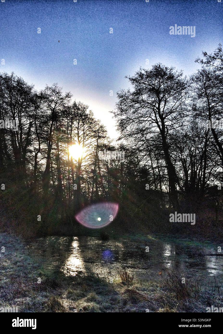 Winter pond trees hi-res stock photography and images - Alamy