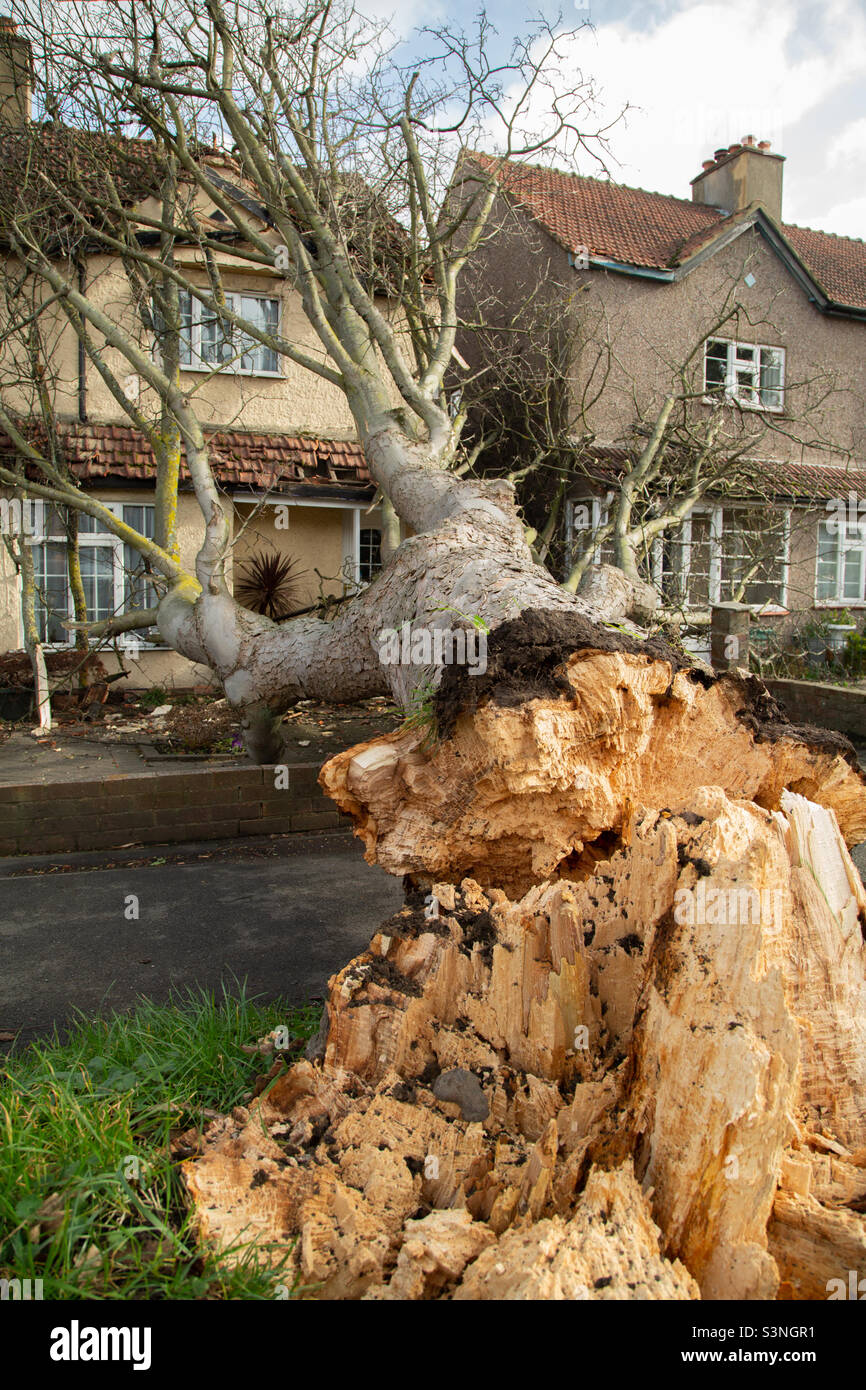 Wind damage at house hi-res stock photography and images - Alamy