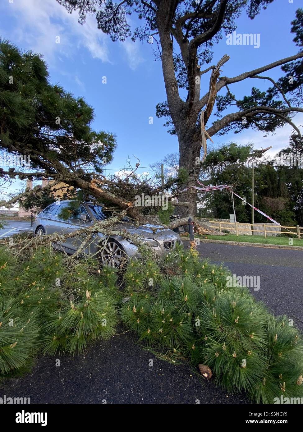 Crushed car by tree hi-res stock photography and images - Alamy