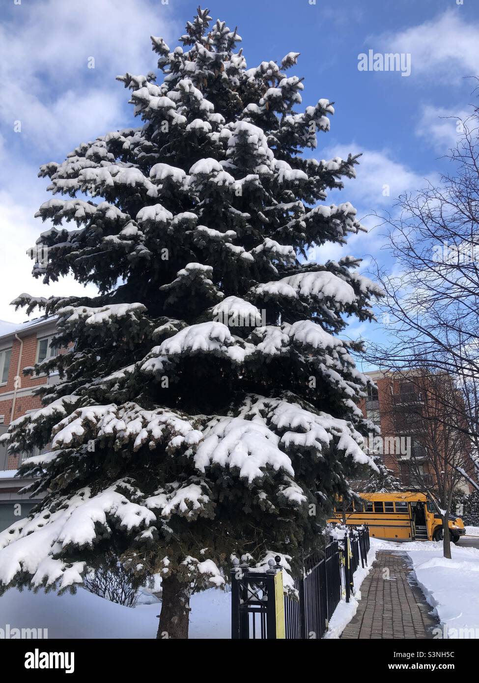 Toronto snow storm hi-res stock photography and images - Alamy