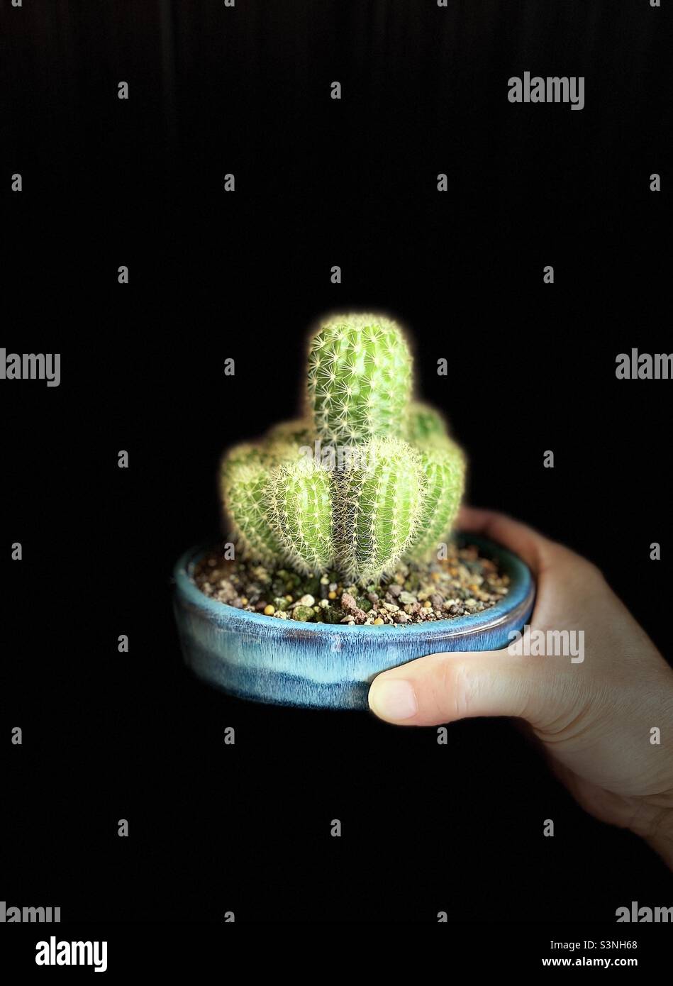 Human hand plant hi-res stock photography and images - Alamy