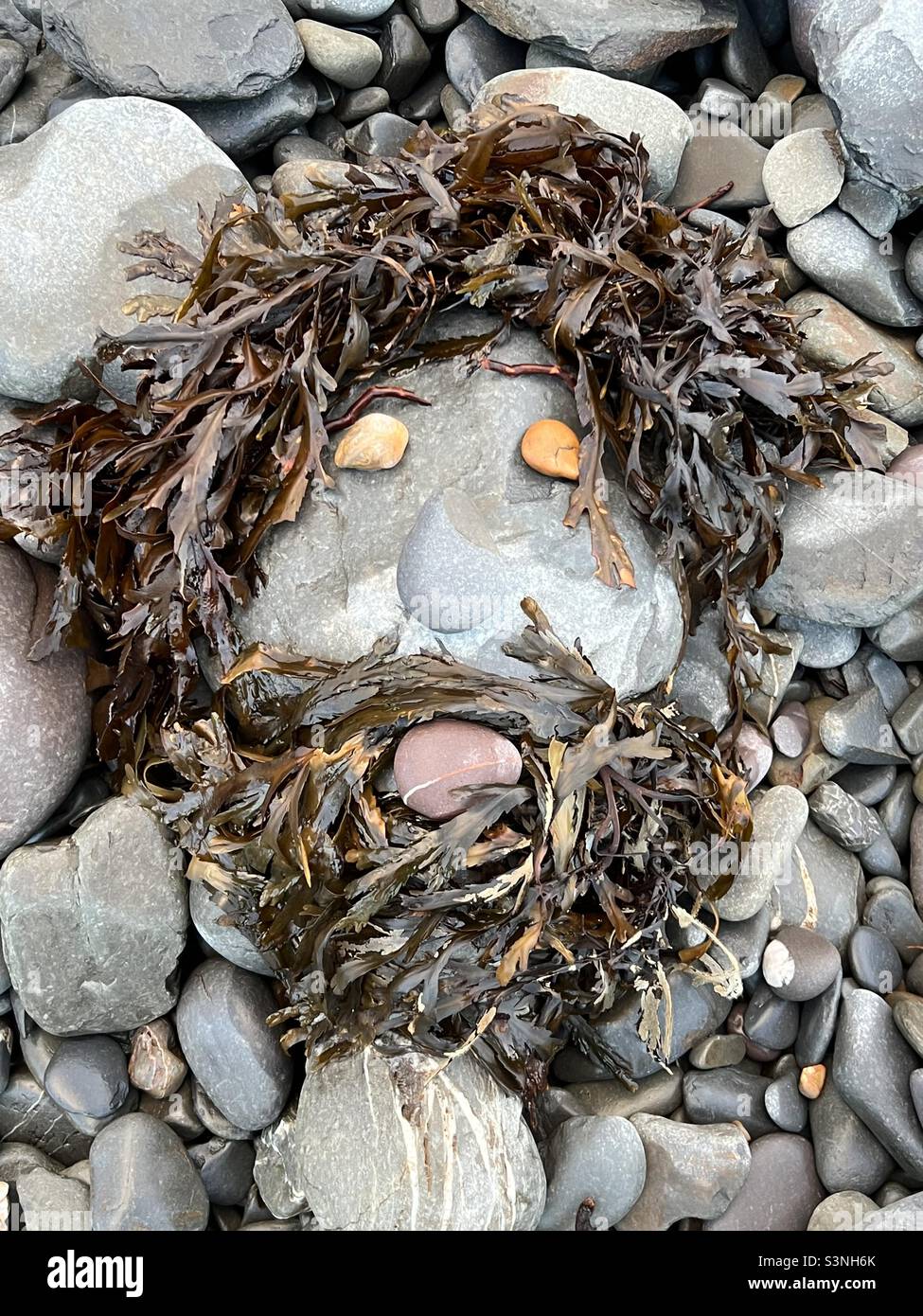 Beach art seaweed man hi-res stock photography and images - Alamy