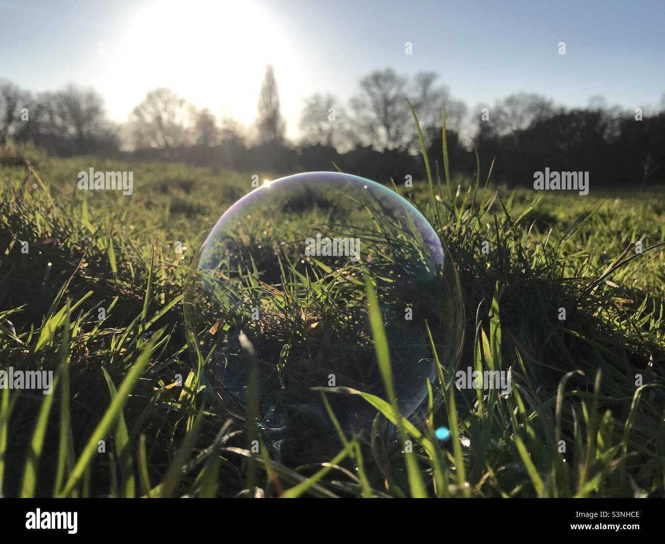 Bubble field hi-res stock photography and images - Alamy