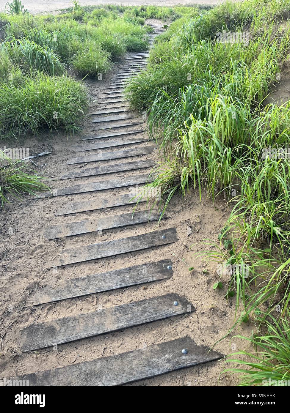 Through sand hi-res stock photography and images - Alamy