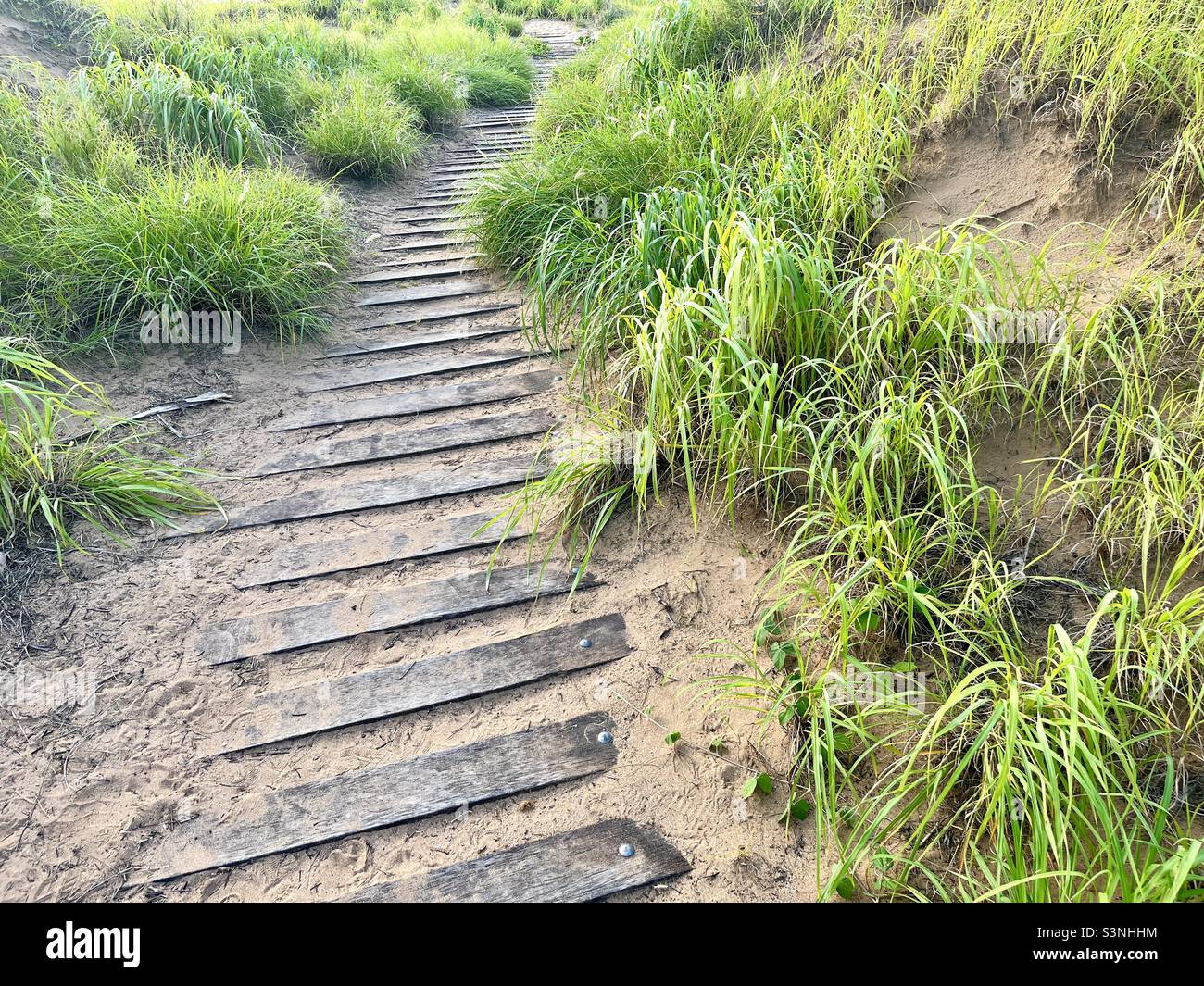 Walkway to the beach through sand dunes Stock Photo - Alamy