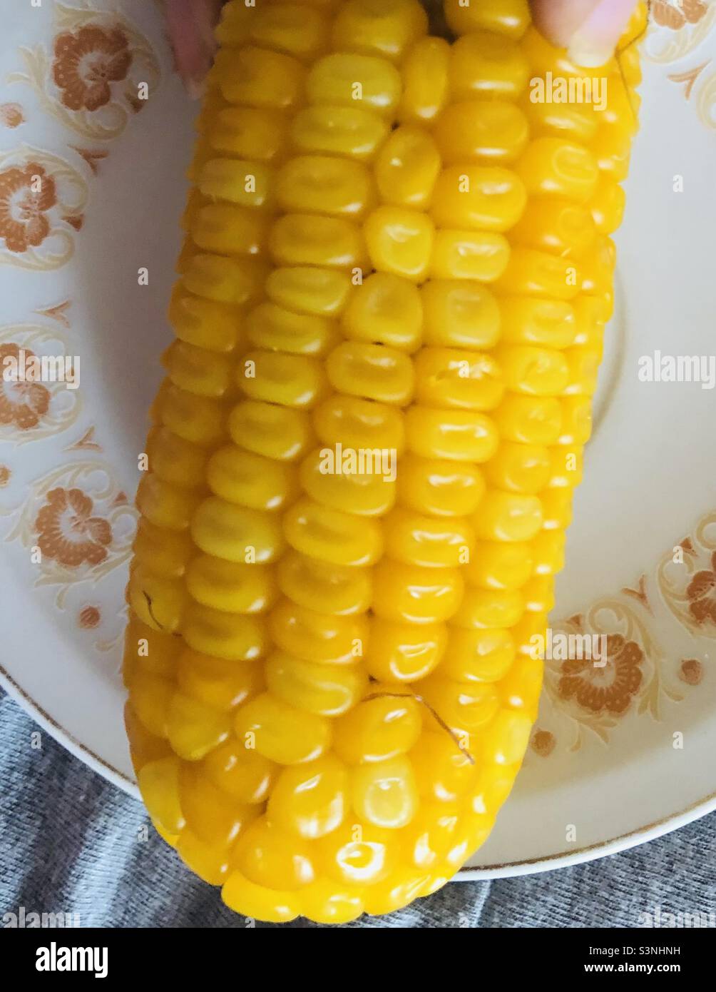 Maize boiled with water and salt. Yummy yum Stock Photo - Alamy