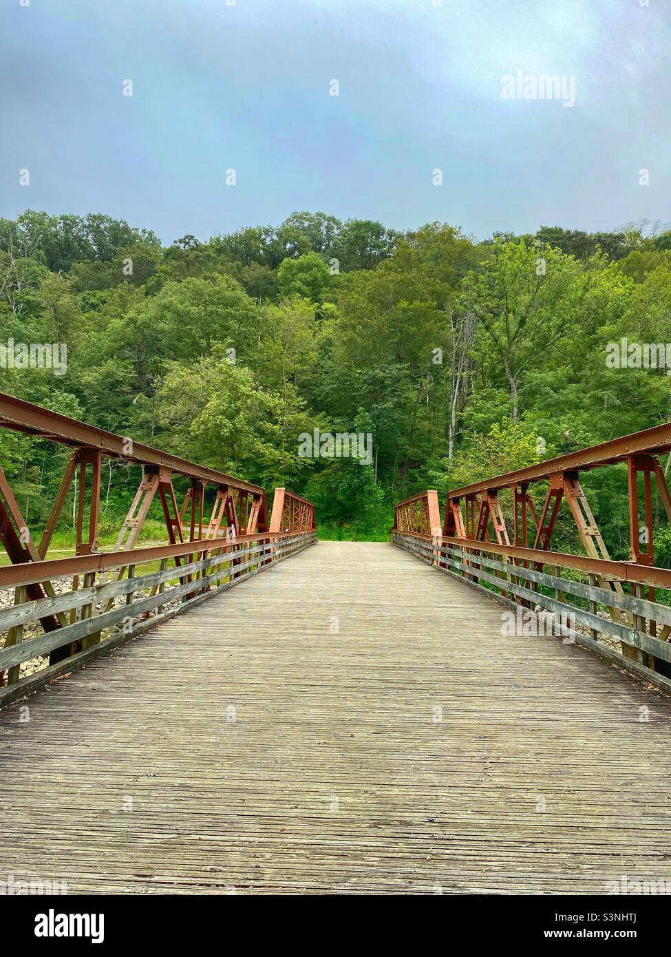 Bridge leading into the trees hi-res stock photography and images - Alamy